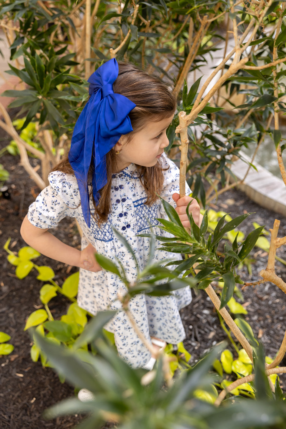 New Arrivals – Limonana